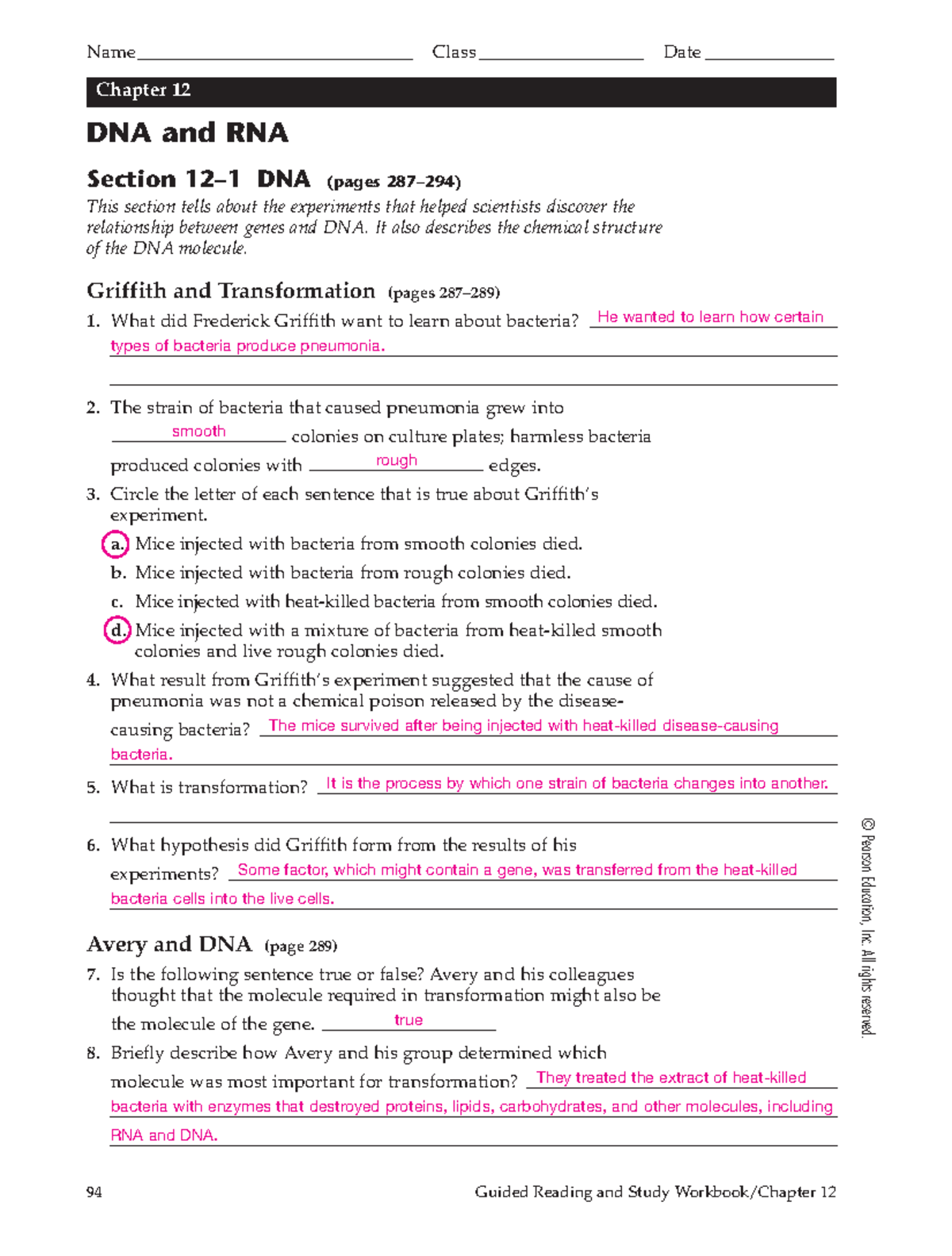 DNA and RNA Study Guide Answer Key - BIO101 Final Exam - Studocu