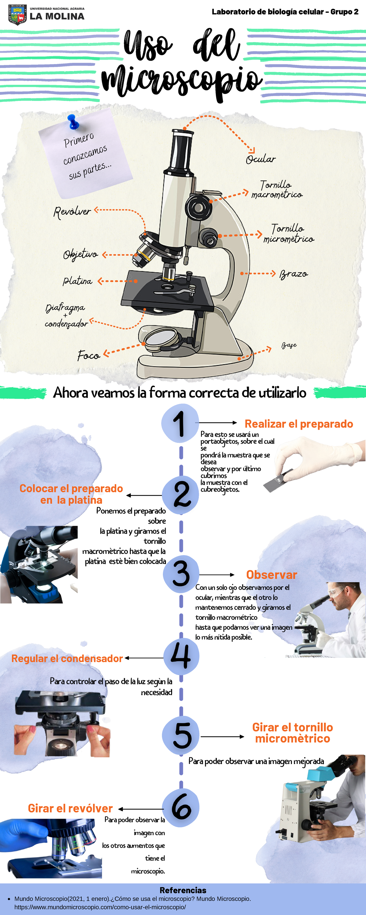 Hoja De Trabajo Con Respuestas Sobre Las Partes Del Microscopio