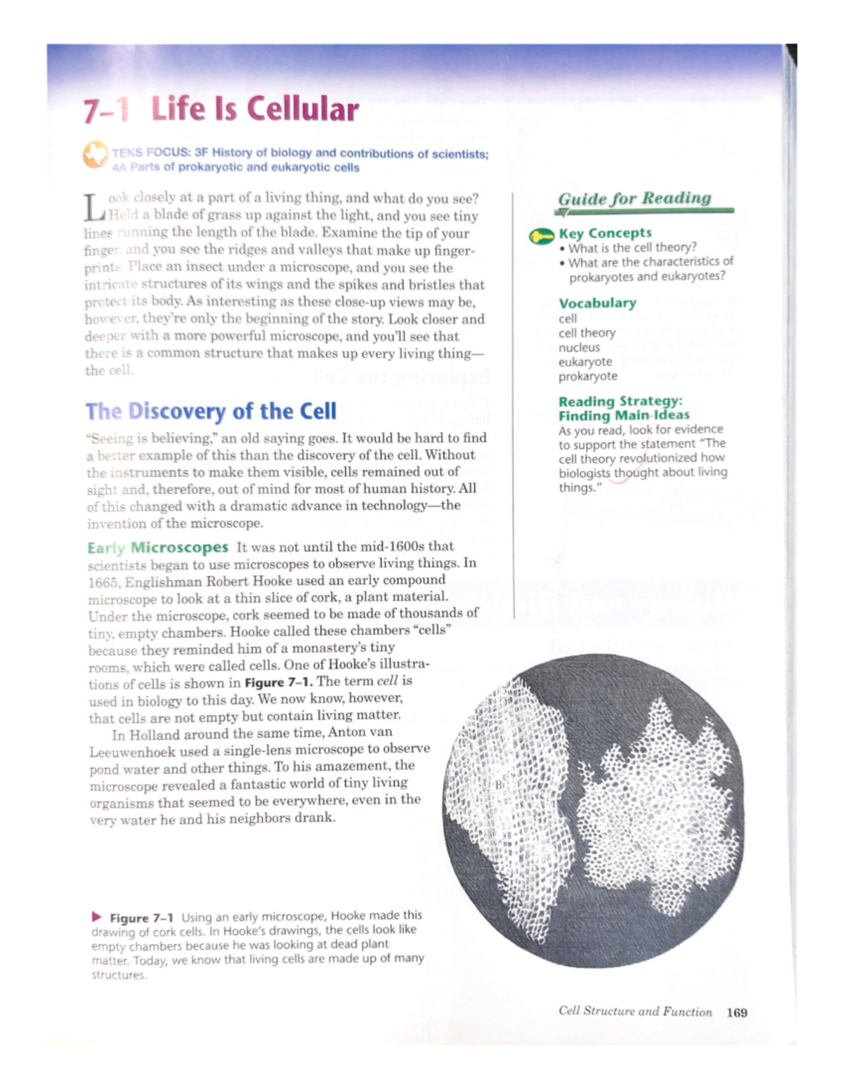 7-1 Life Is Cellular - book report - Life Is Cellular TEKS FOCUS: 3F ...