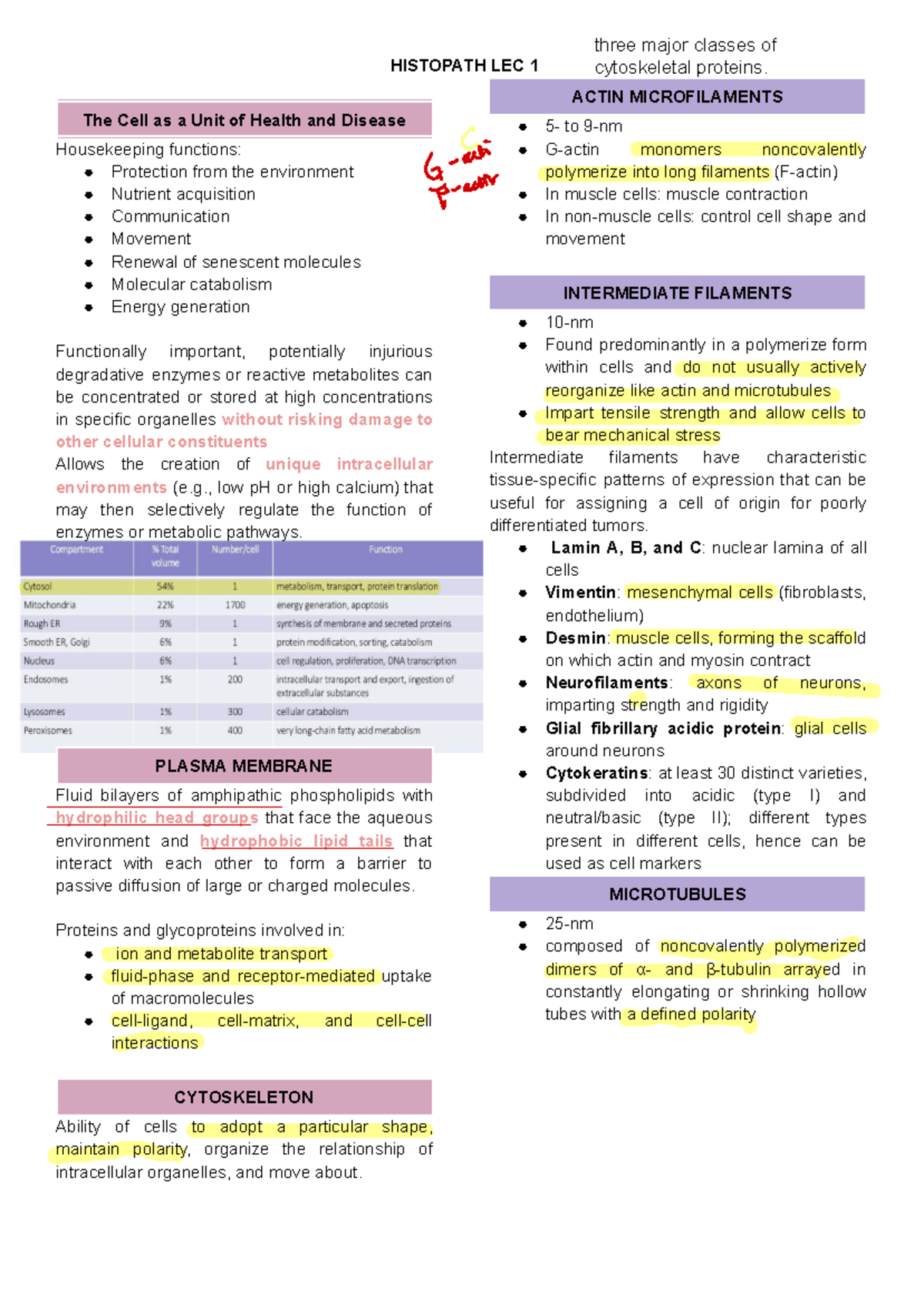 HISTOPATH LEC 1: Overview of Cytoskeletal Proteins and Cell Functions ...