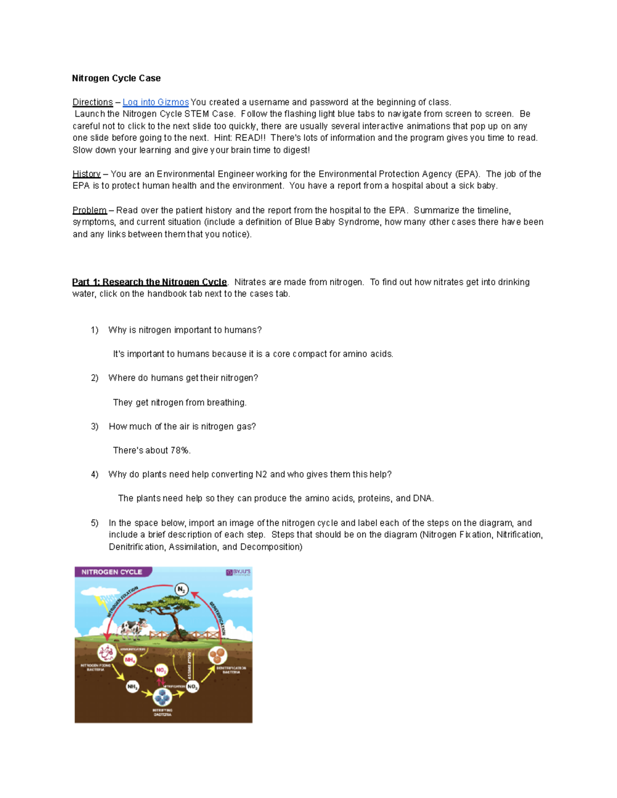 Nitrogen Cycle Case Study: Investigating Blue Baby Syndrome Causes ...