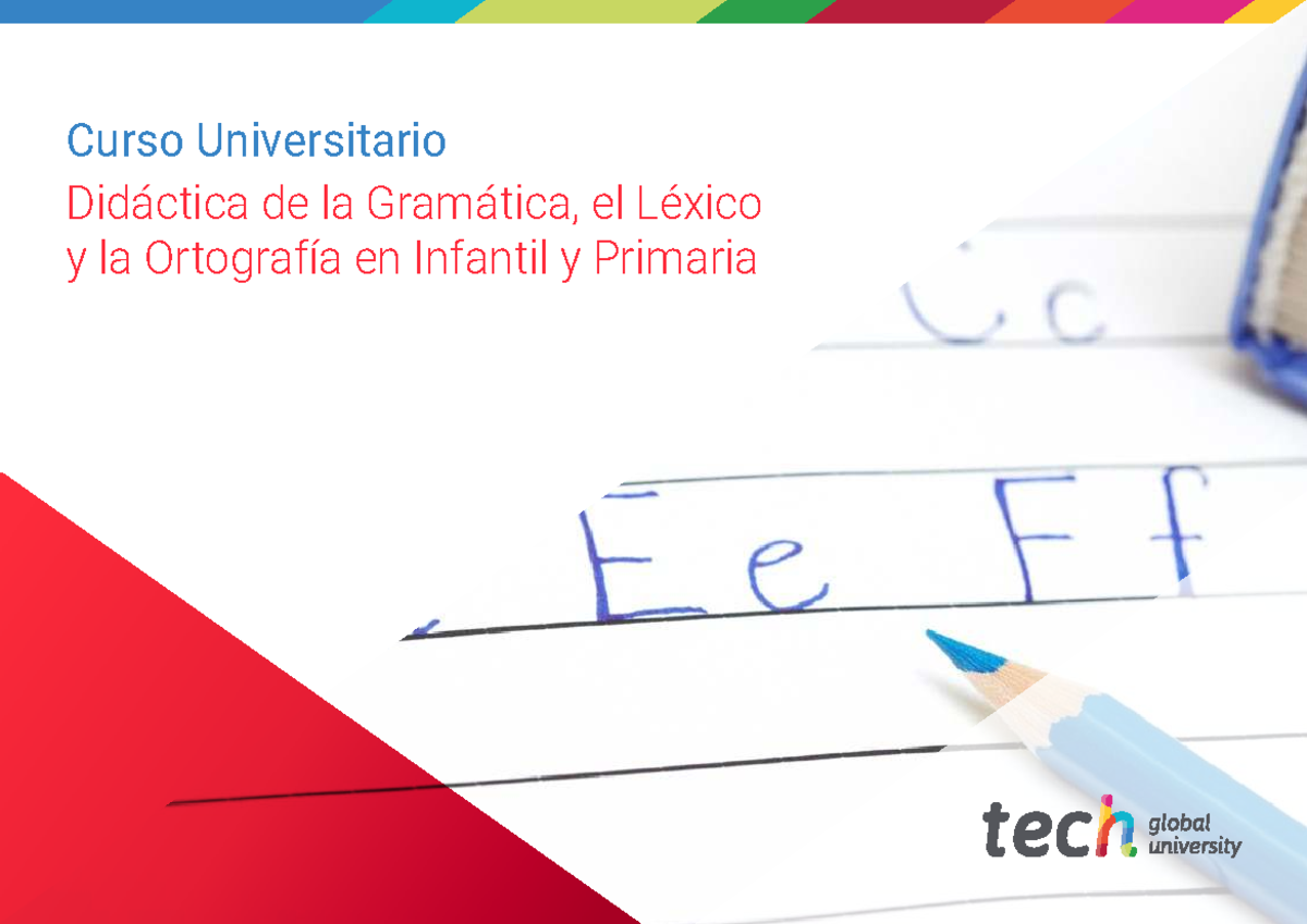 Curso Universitario: Didáctica de Gramática, Léxico y Ortografía en ...