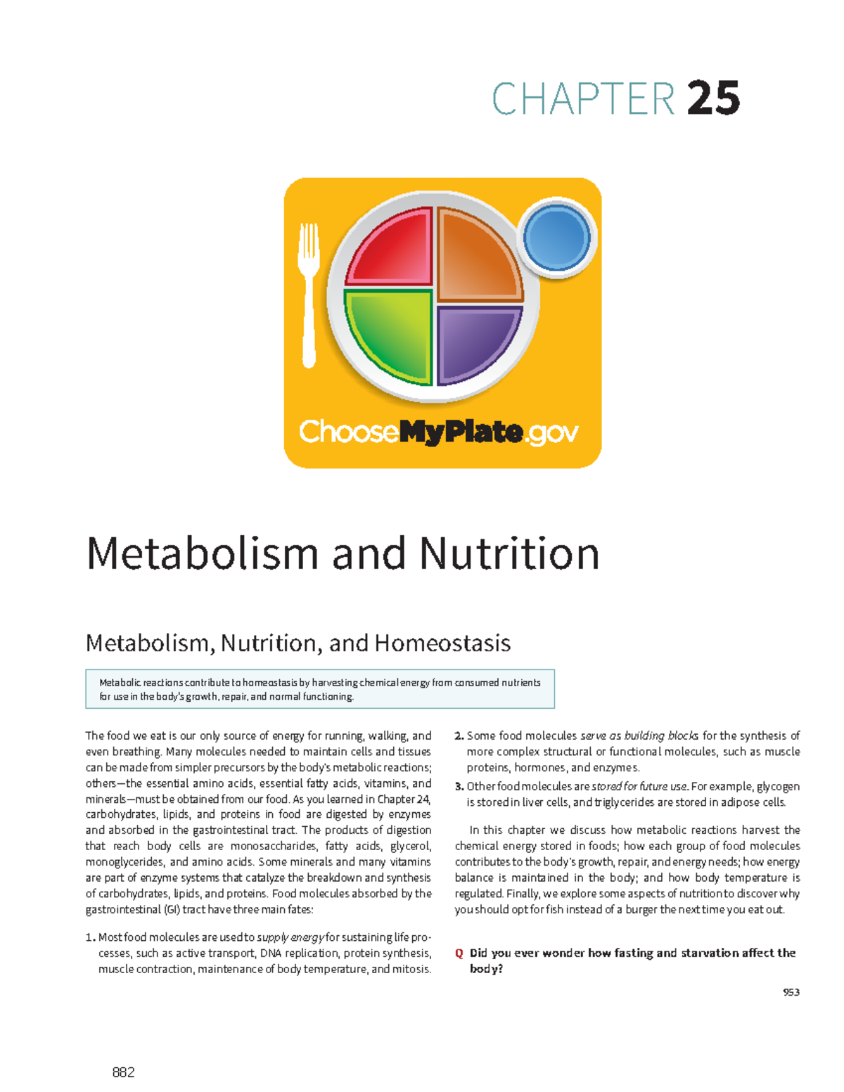 Unit 6: Chapter 25 - Metabolism and Nutrition Overview and Key Concepts ...