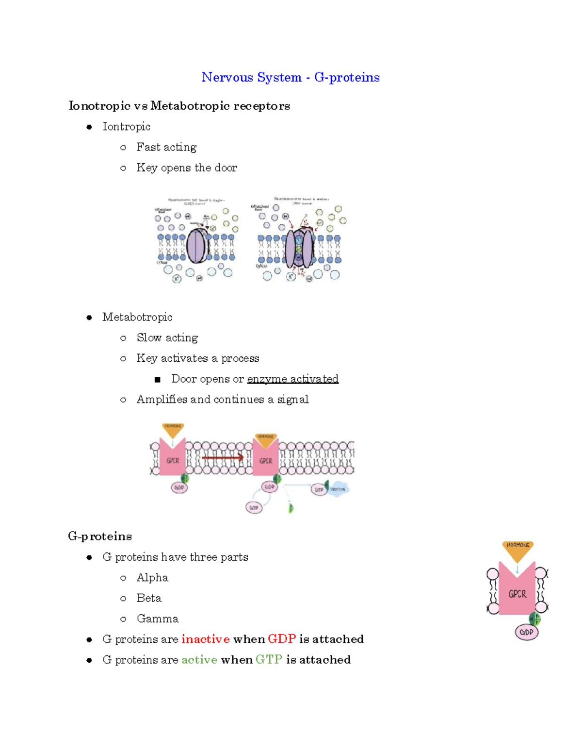 Physio Video Notes - Exam 2: Nervous System & Special Senses Overview ...