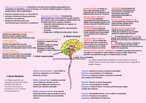 [Solved] Definicin Semiologica de exantema morbiliforme - estudio ...