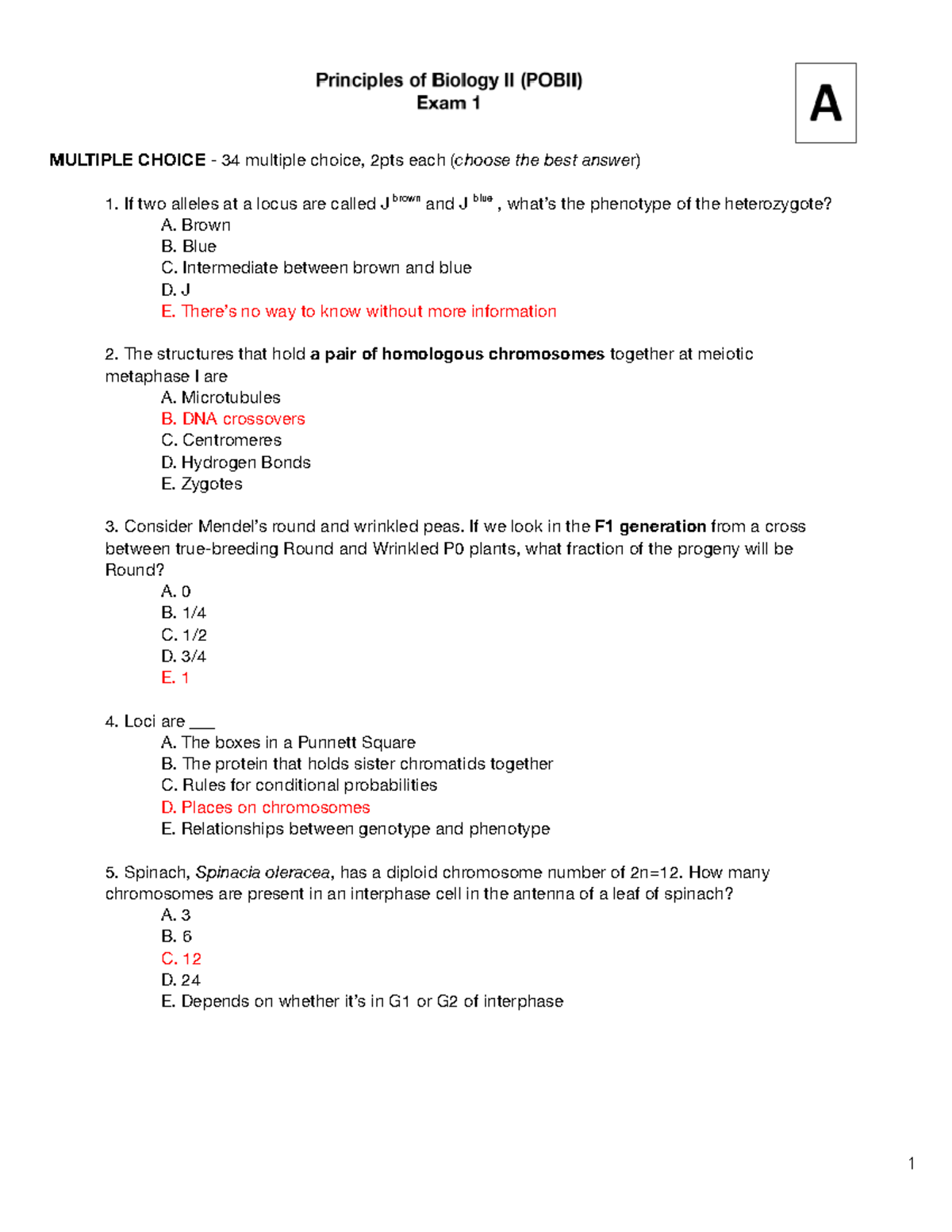 Midterm 1A Exam Key - Genetics Multiple Choice & Short Answers - Studocu