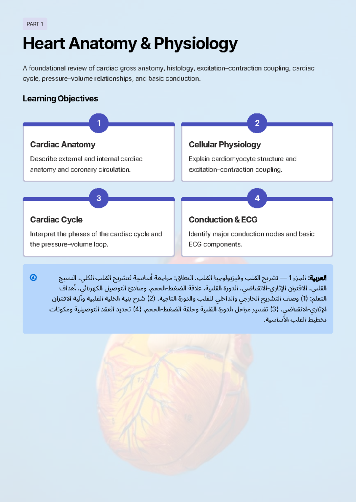 PART 1: Heart Anatomy & Physiology - A Comprehensive Review - Studocu