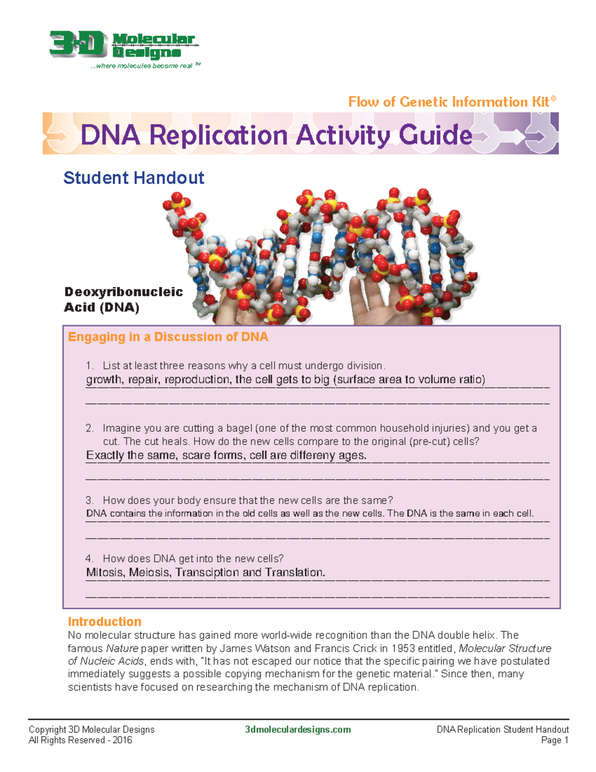 DNA Replication Activity Guide: Understanding Genetic Information Flow ...