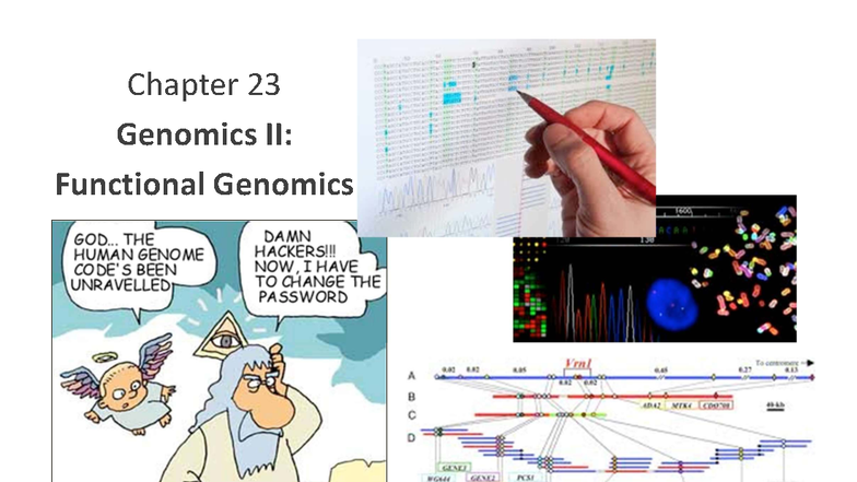Chapter 23 - Genomics II: Functional Genomics & High Throughput Sequencing - Studocu