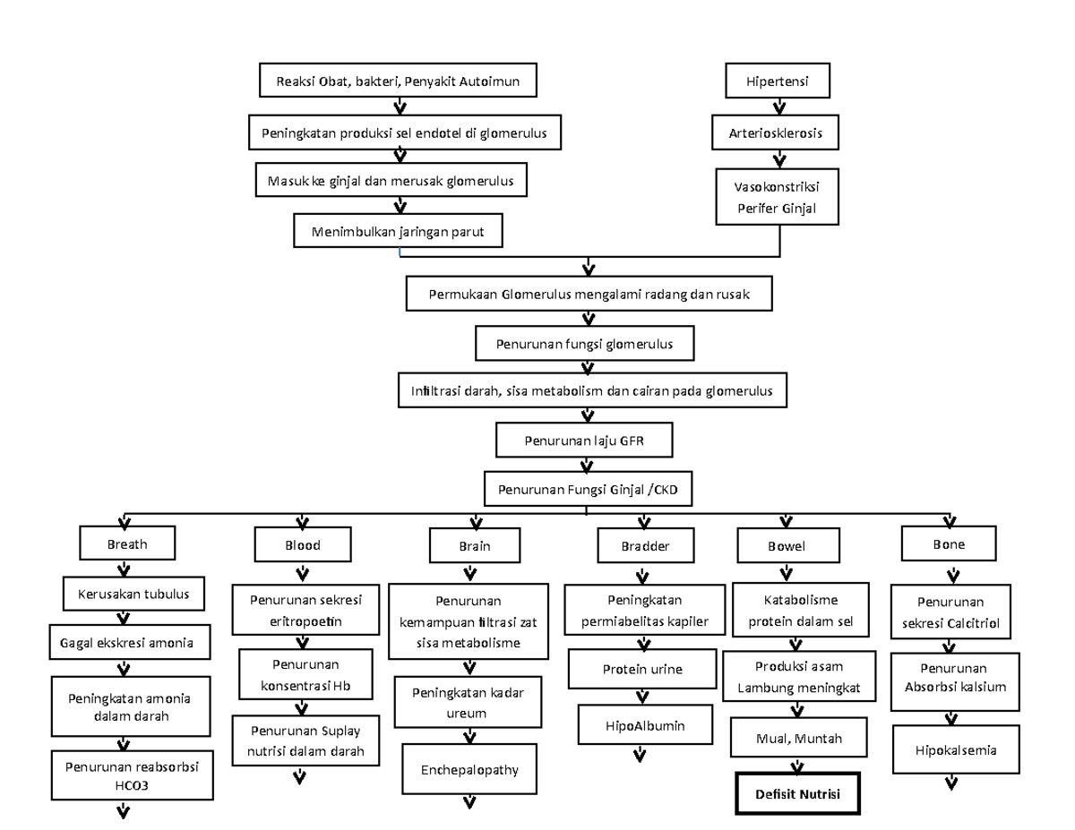 Pathway CKD: Defisit Nutrisi dan Dampaknya pada Fungsi Ginjal - Studocu