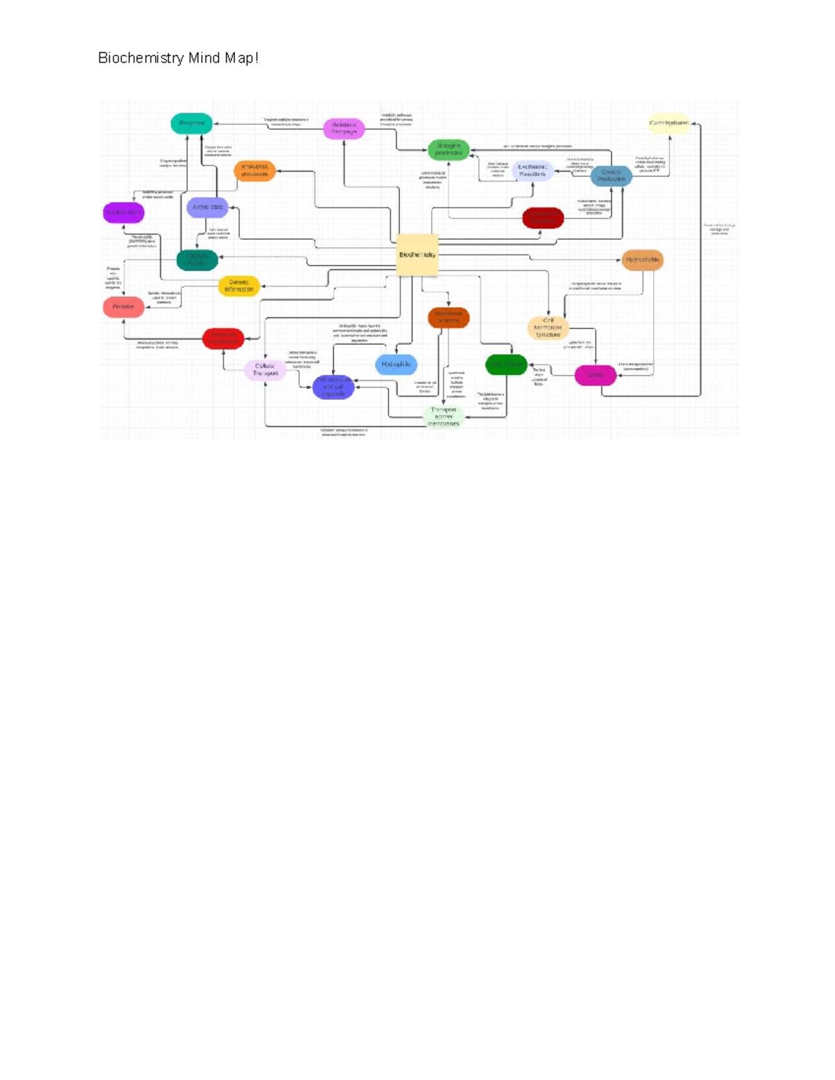 Biochemistry (BIOC101) Mind Map: Metabolic Pathways & Enzymes Overview ...
