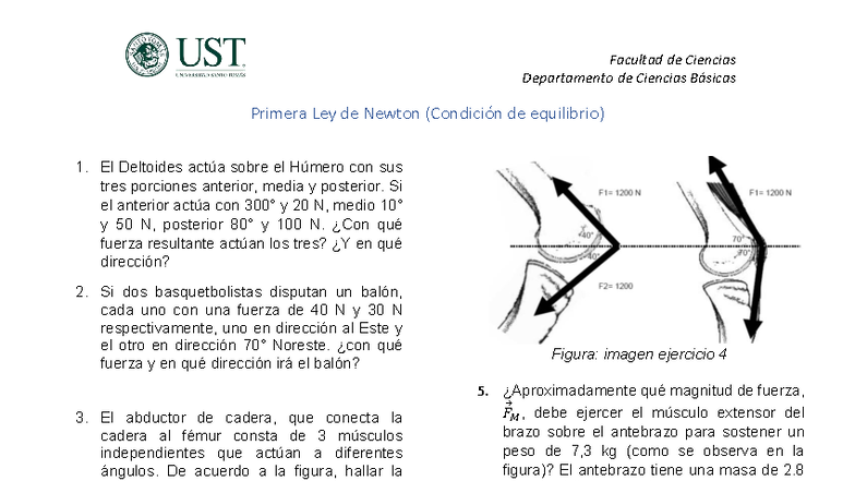 2025 Guía de Estudio: Primera Ley de Newton y Fuerzas - Studocu
