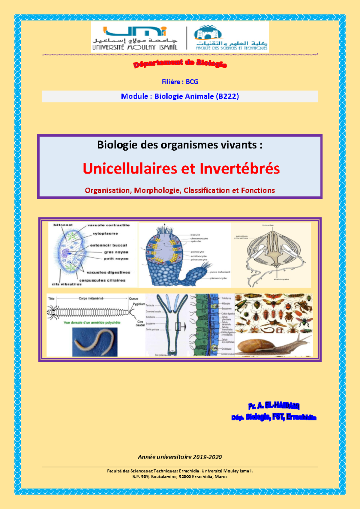 Biologie Animale: Unicellulaires et Invertébrés - B222 Notes - Studocu