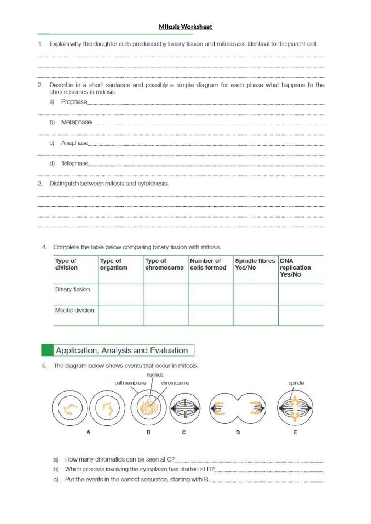 Mitosis Worksheet for Biology Studies - Course Code Included - Mitosis ...