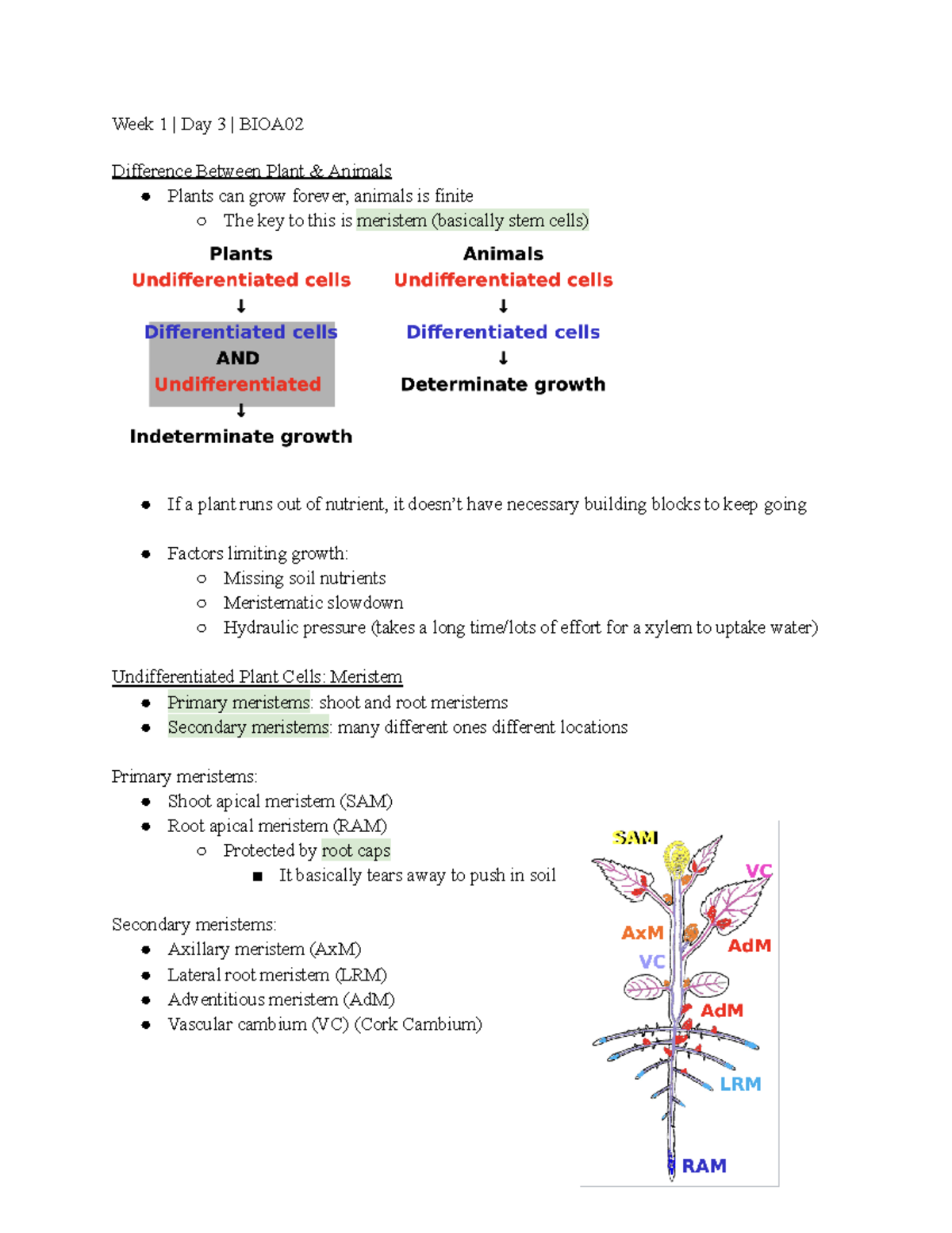 Week 1 Day 3 BIOA02 - Lecture Notes with Ivana - Week 1 | Day 3 | BIOA ...