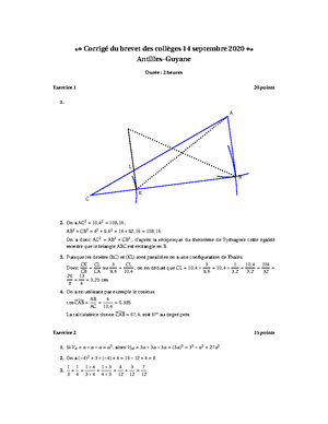 Enoncé coupé et ancré - Préparation pour le brevet - Les Amis de la ...
