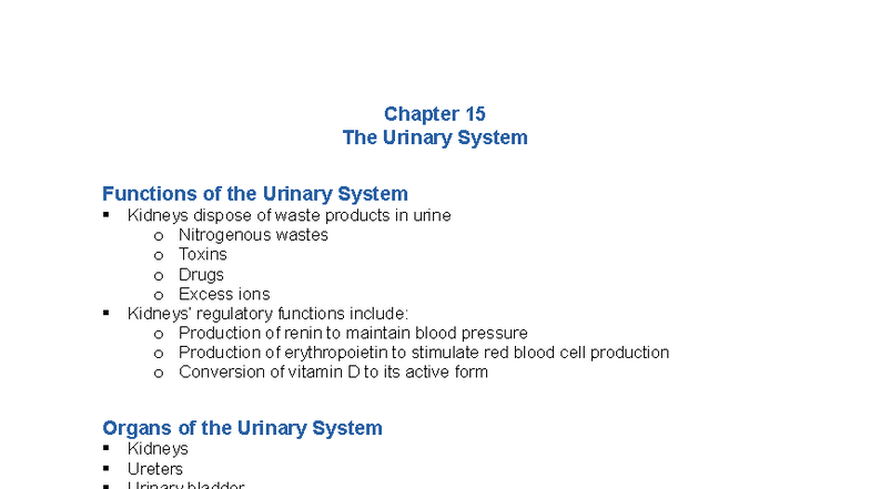 Chapter 15: Urinary System Functions, Structure & Homeostasis - Studocu