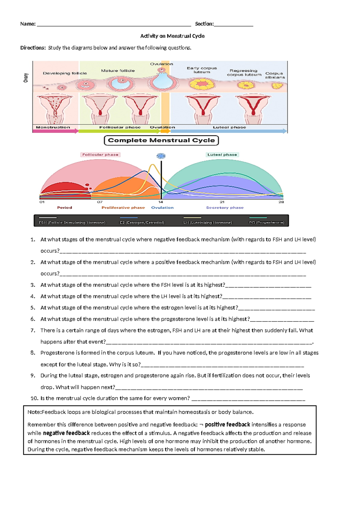 Menstrual Cycle Activity: Feedback Mechanisms and Hormone Levels - Studocu