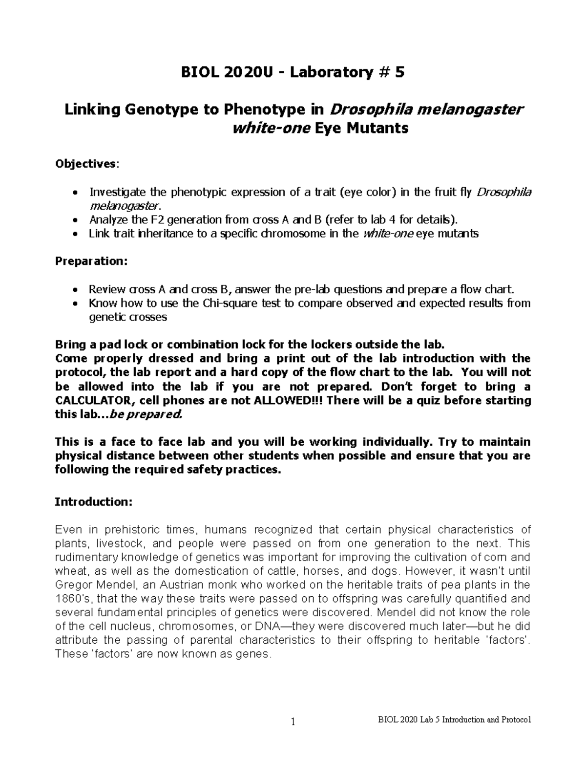 BIOL 2020U - Lab 5: Genotype to Phenotype in Drosophila Analysis - Studocu