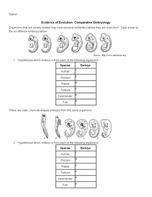 Story Elements Self Analysis - Name: Short Elements Self-Analysis Copy ...