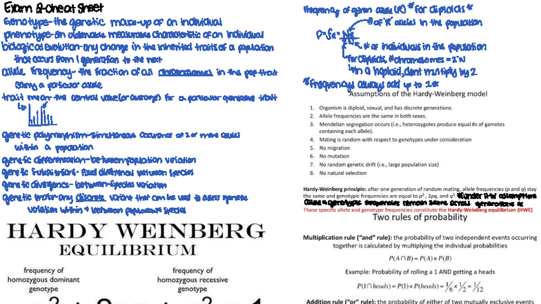 Exam 2 Cheat Sheet - Studocu