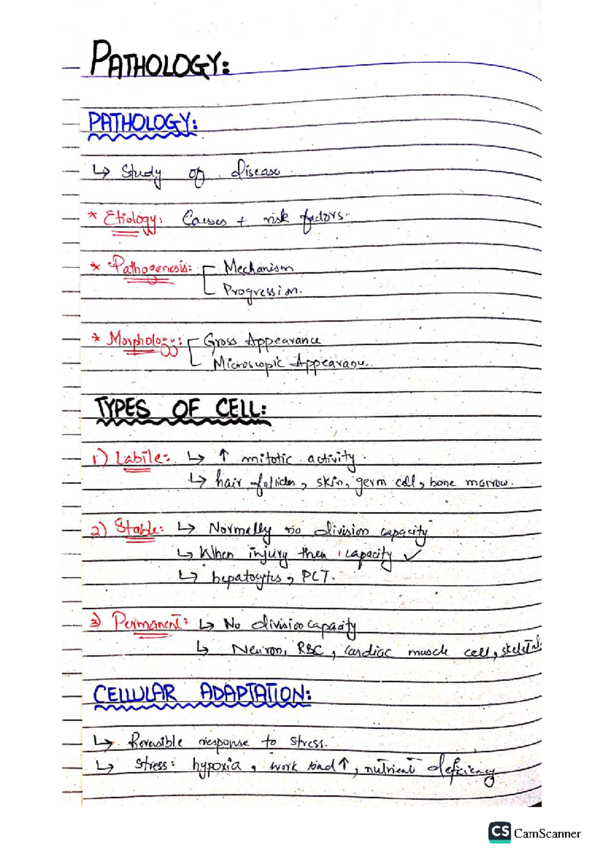 PATHOLOGY: Comprehensive Study Notes on Disease Mechanisms and ...