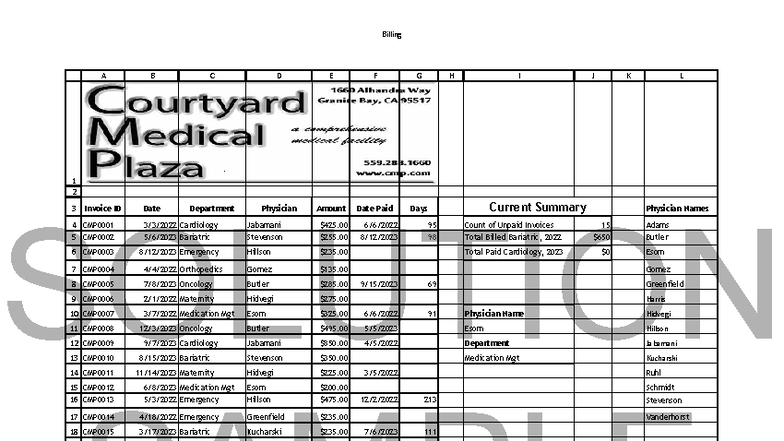 IP Excel ACP 3 Billing Solution Sample Report - Studocu