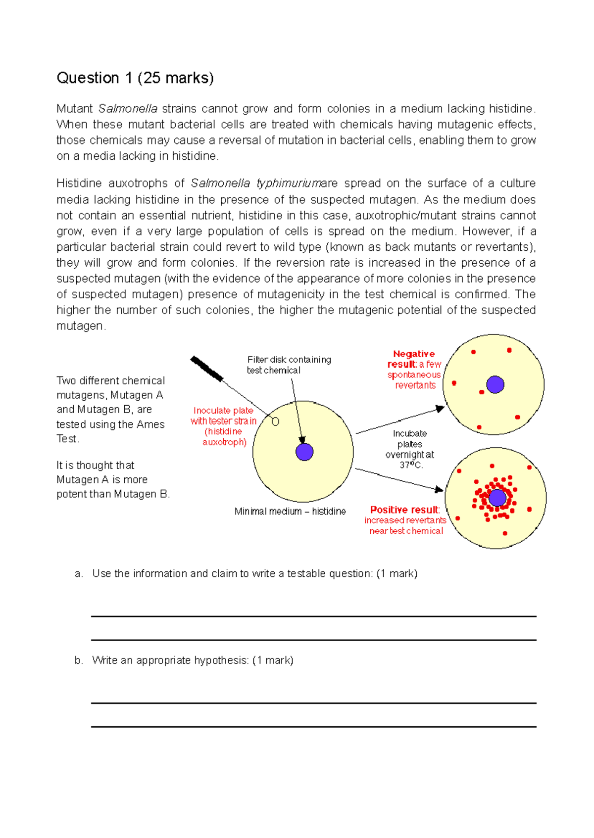 WS Practice Paper: Mutagenicity Assessment via Ames Test and Genetic ...