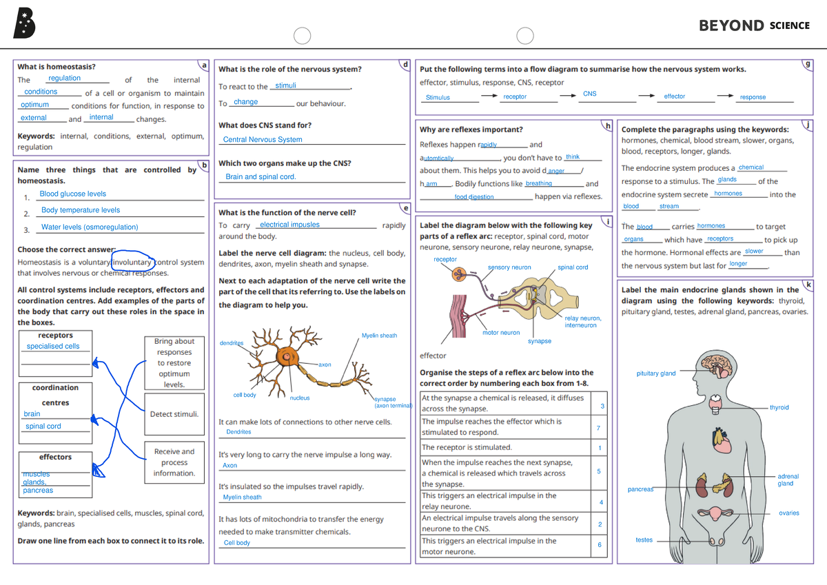 Science Revision Materials for Exam Preparation - Studocu