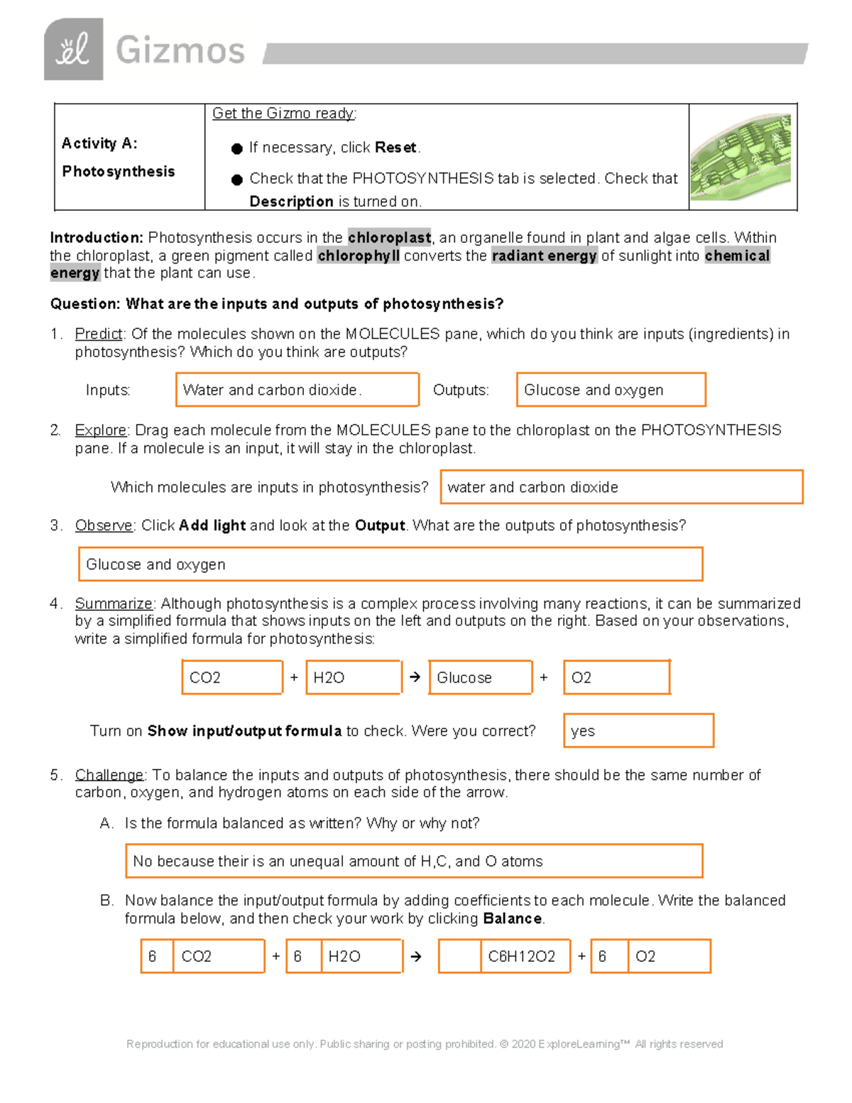 Photosynthesis & Cellular Respiration Explained: Activity A & B Guide ...