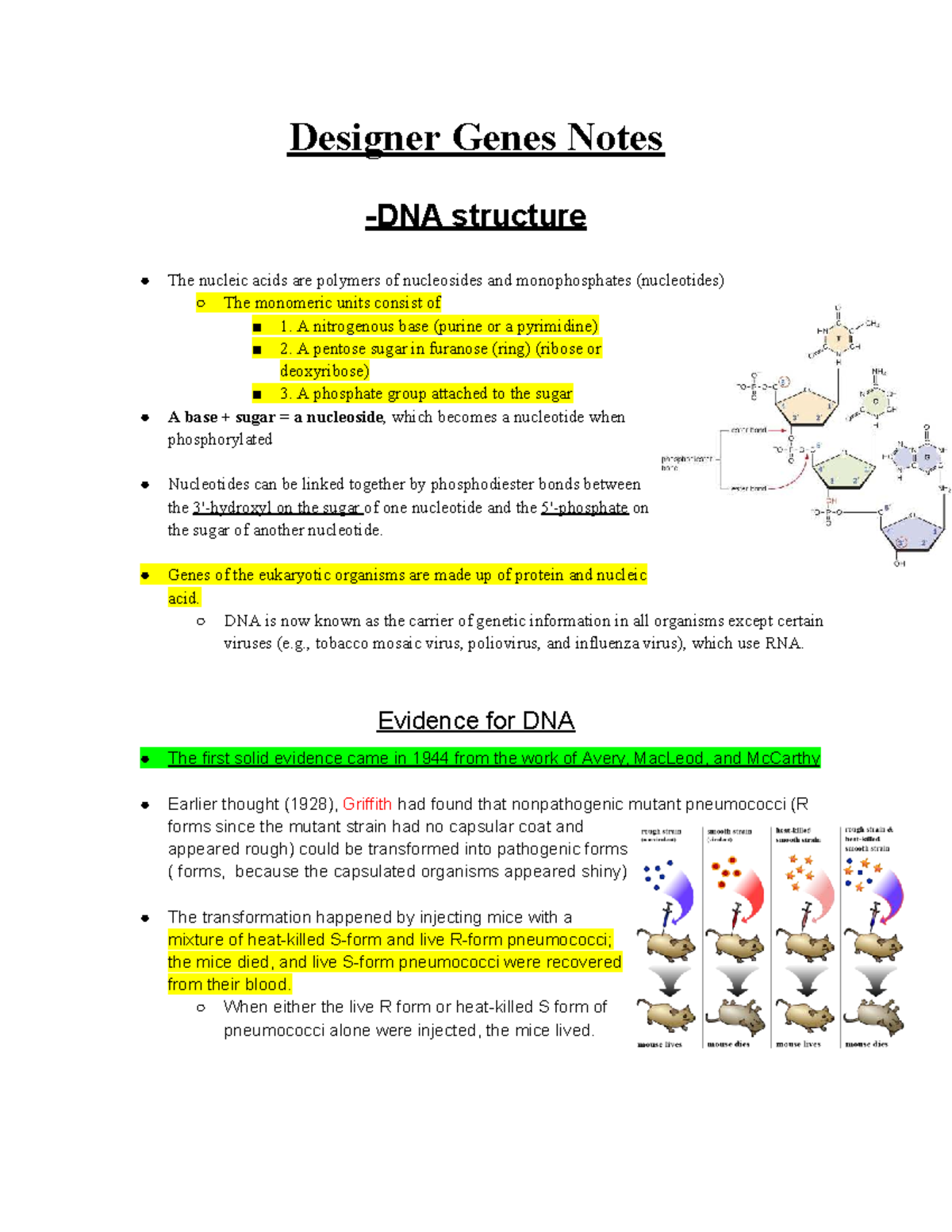 Designer Genes: Structure, Replication & Evidence for DNA (BIO101 ...