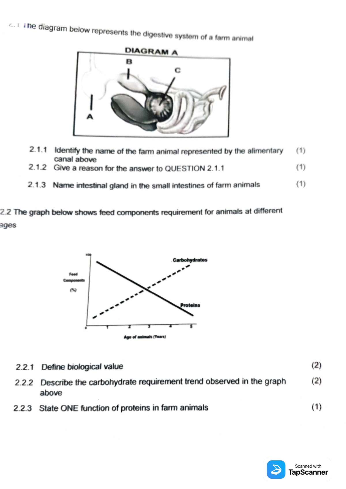 Alimentary Canal Analysis for Farm Animals: Key Concepts and Functions ...