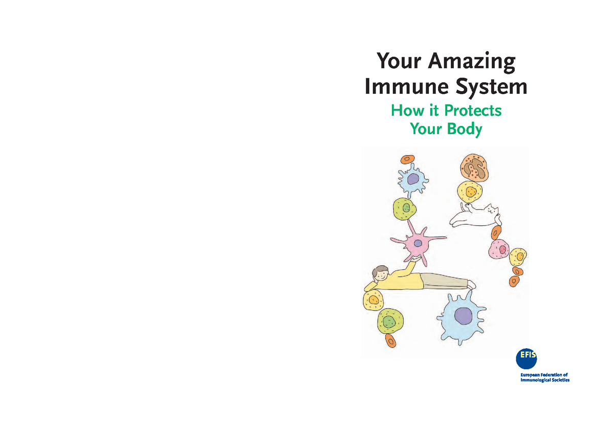 Understanding Your Immune System: How It Protects Your Body - Studeersnel