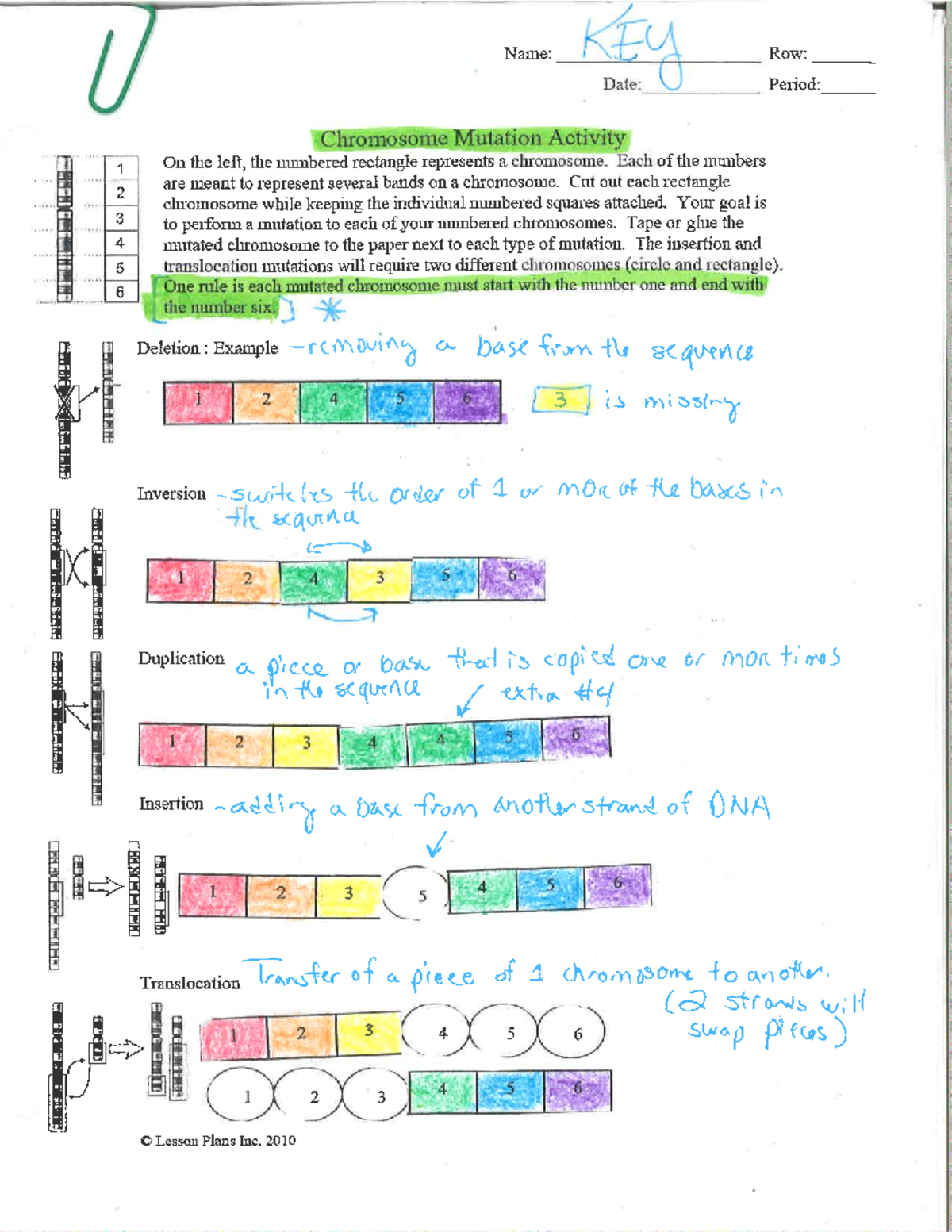 Chromosome Mutation Activity Instructions - Name: KEy Row: Date: Period: Chromosome Mutation ...