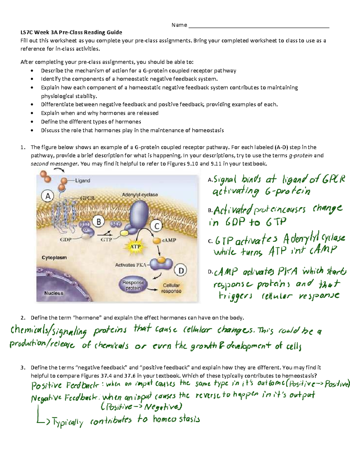 LS7C Week 3A Pre-Reading Guide: Hormones & Homeostasis Mechanisms - Studocu