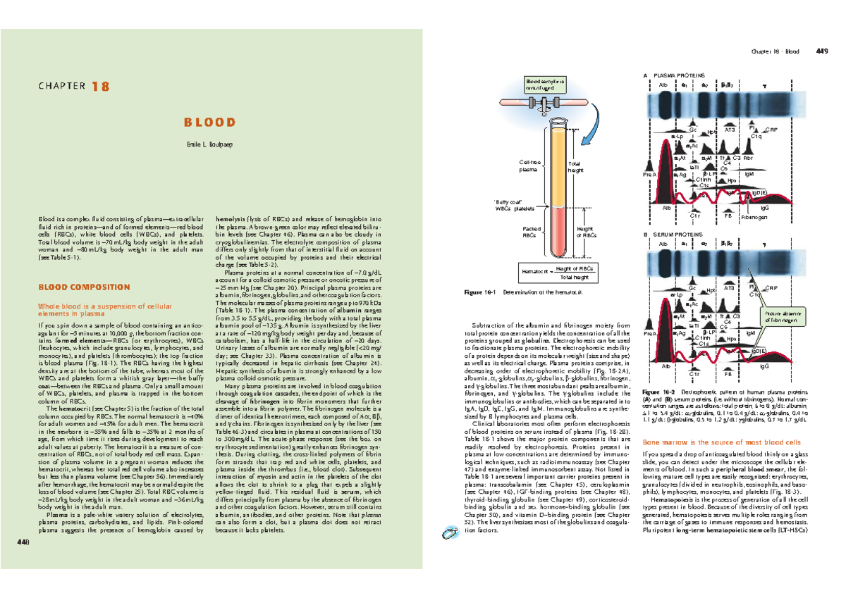 Chapter 18: Blood - Composition, Functions, and Coagulation (AT3) - Studocu