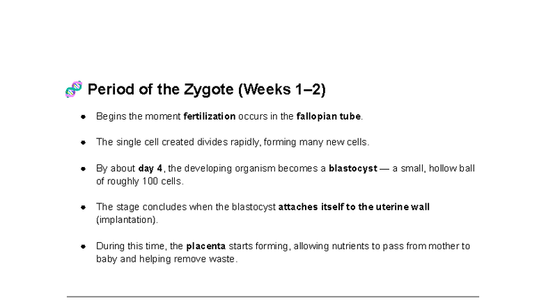 Child Development - Chapter 3: Prenatal Stages and Influences - Studocu