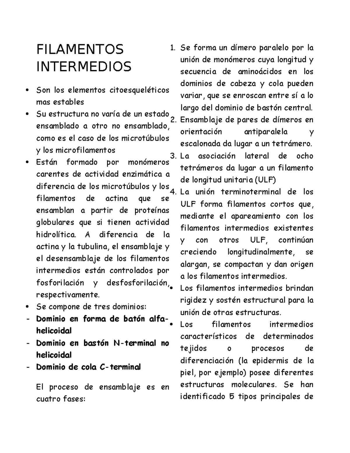 Filamentos Intermedios: Estructura y Función en el Citoesqueleto - Studocu