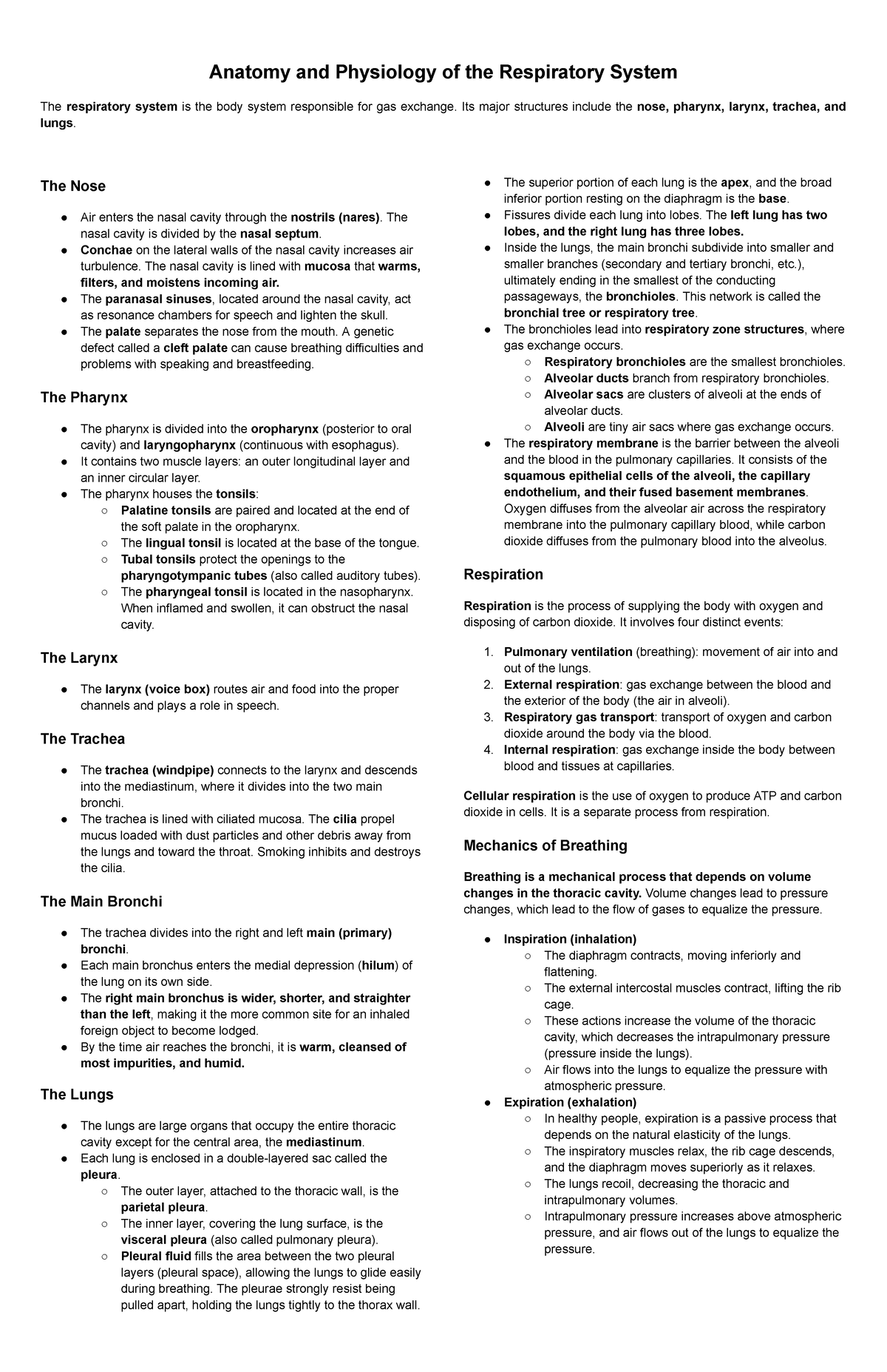 Chapter 13 respiratory system - Anatomy and Physiology of the ...