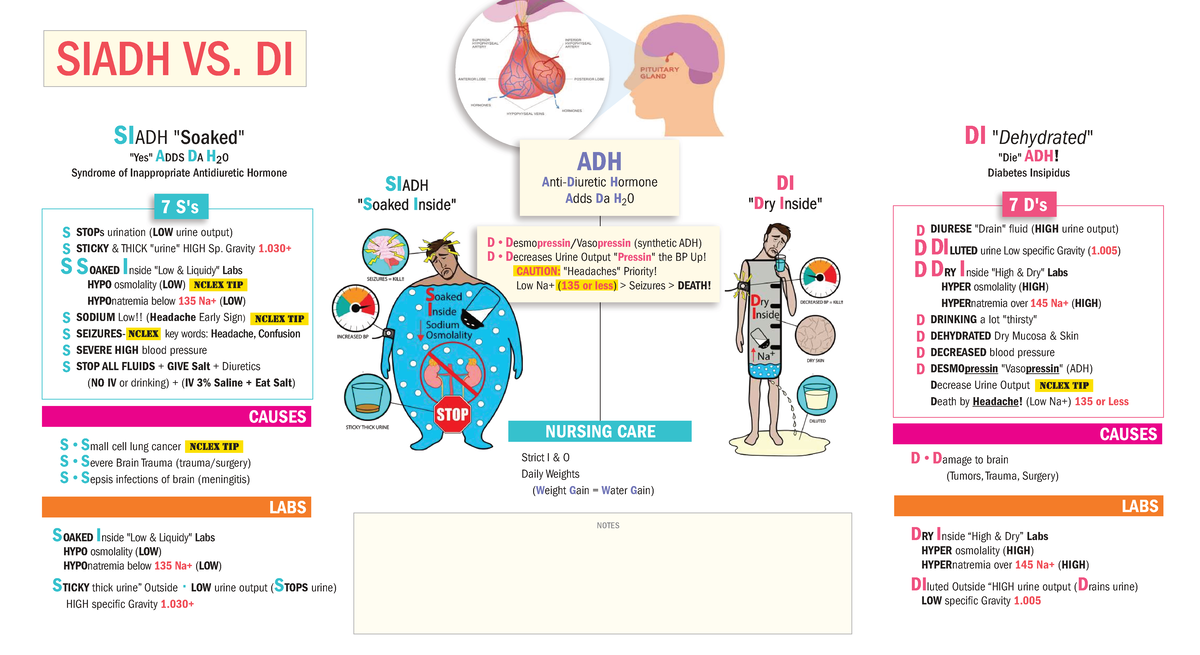 Siadh Vs Di Key Differences Nursing Care Notes Studocu