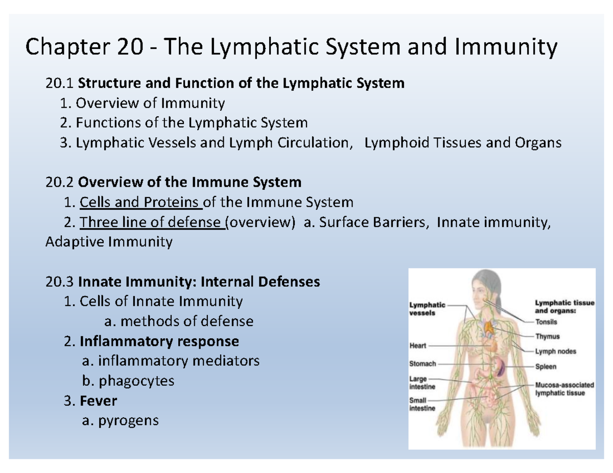 BIO142_Lecture 9_Chapter 20_Part I: Innate Immunity Overview - Chapter ...
