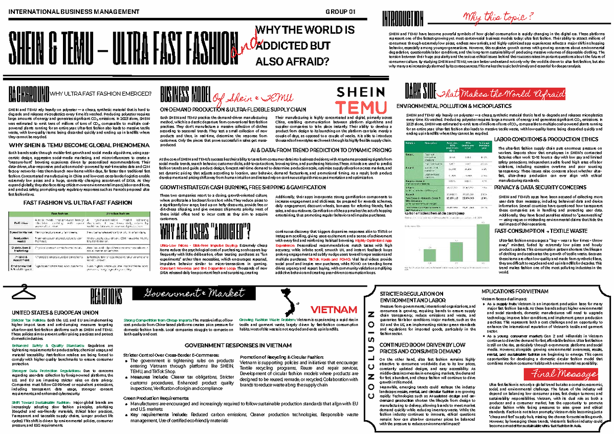 International Business Management (IBM) Case Study: The Rise of Ultra ...