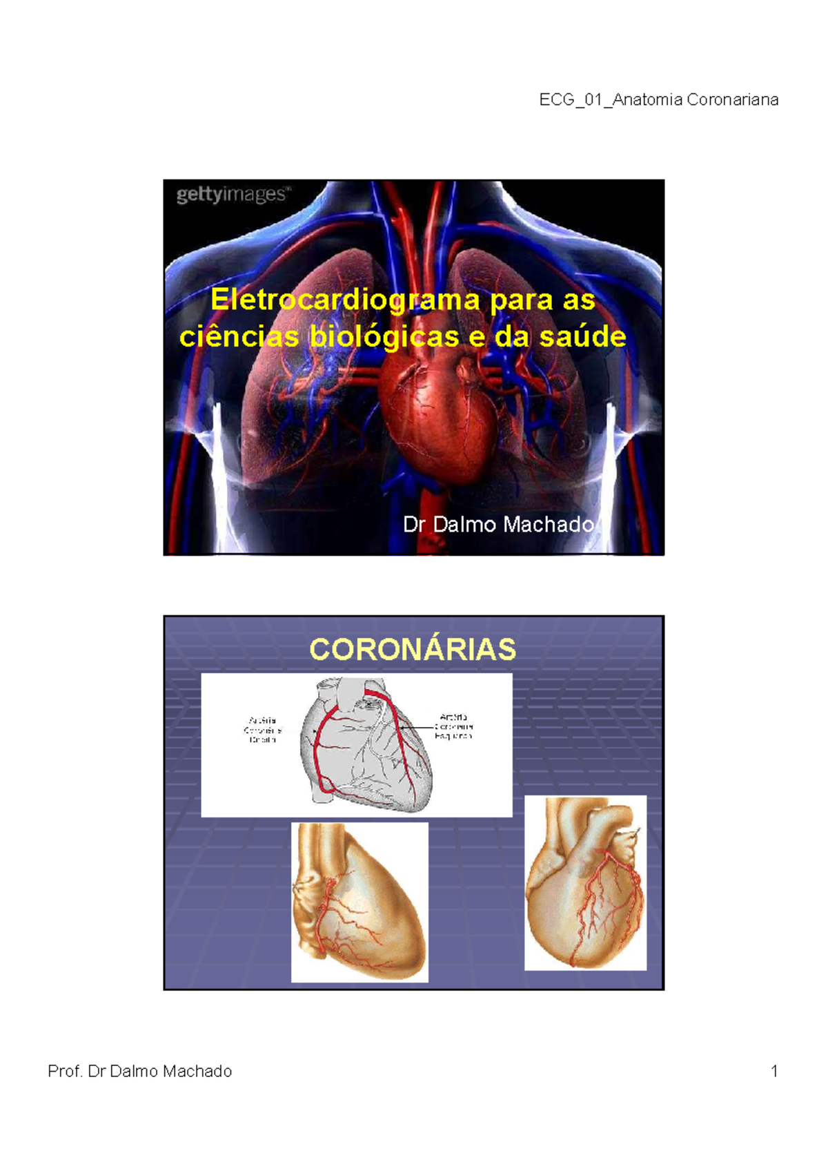 ECG 01: Anatomia Coronariana e Eletrocardiograma para Ciências da Saúde ...
