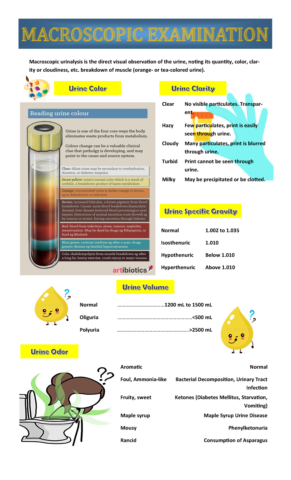Stool Examination (Fecalysis) Notes and Summary - Macroscopic ...