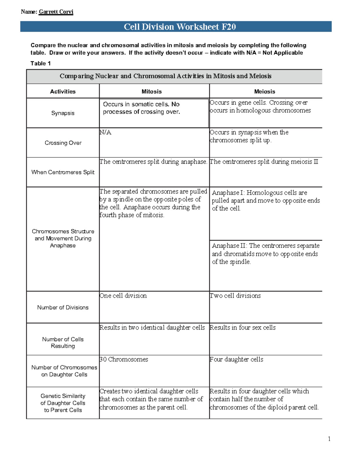 Cell Division Worksheet F: Mitosis vs Meiosis Analysis - Studocu