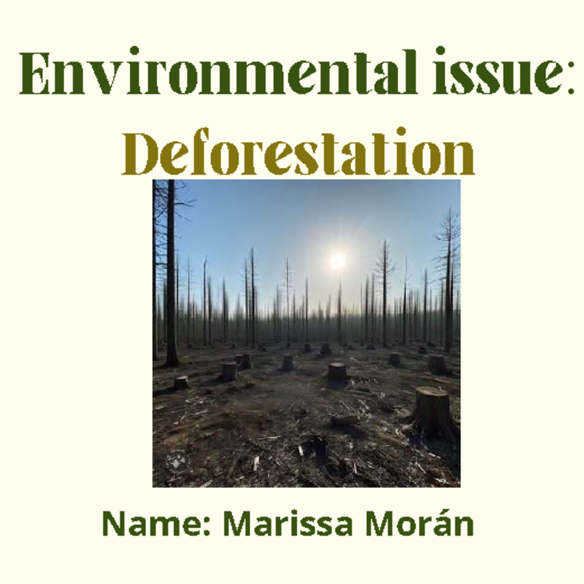 Green Forest - English - Environmental issue: Deforestation Name ...