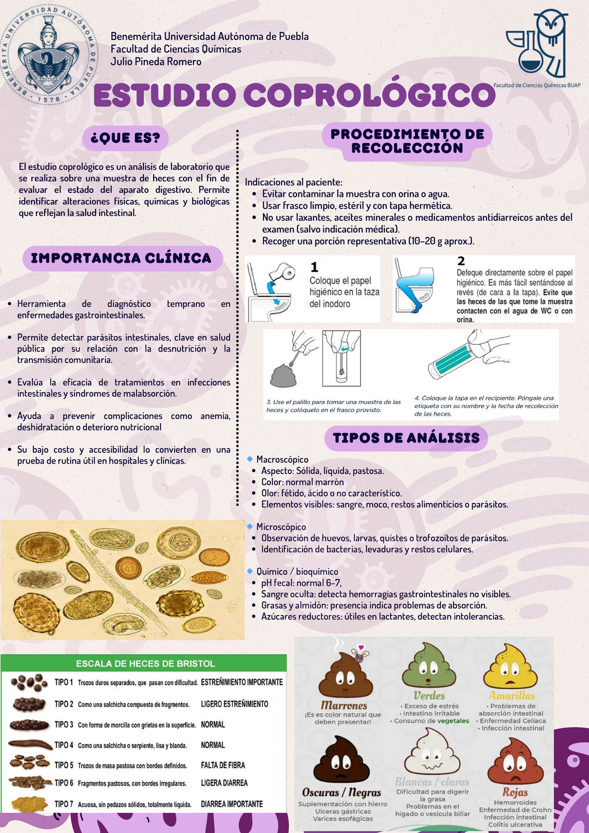 Estudio Coprológico: Análisis de Muestras de Heces en Salud Digestiva ...