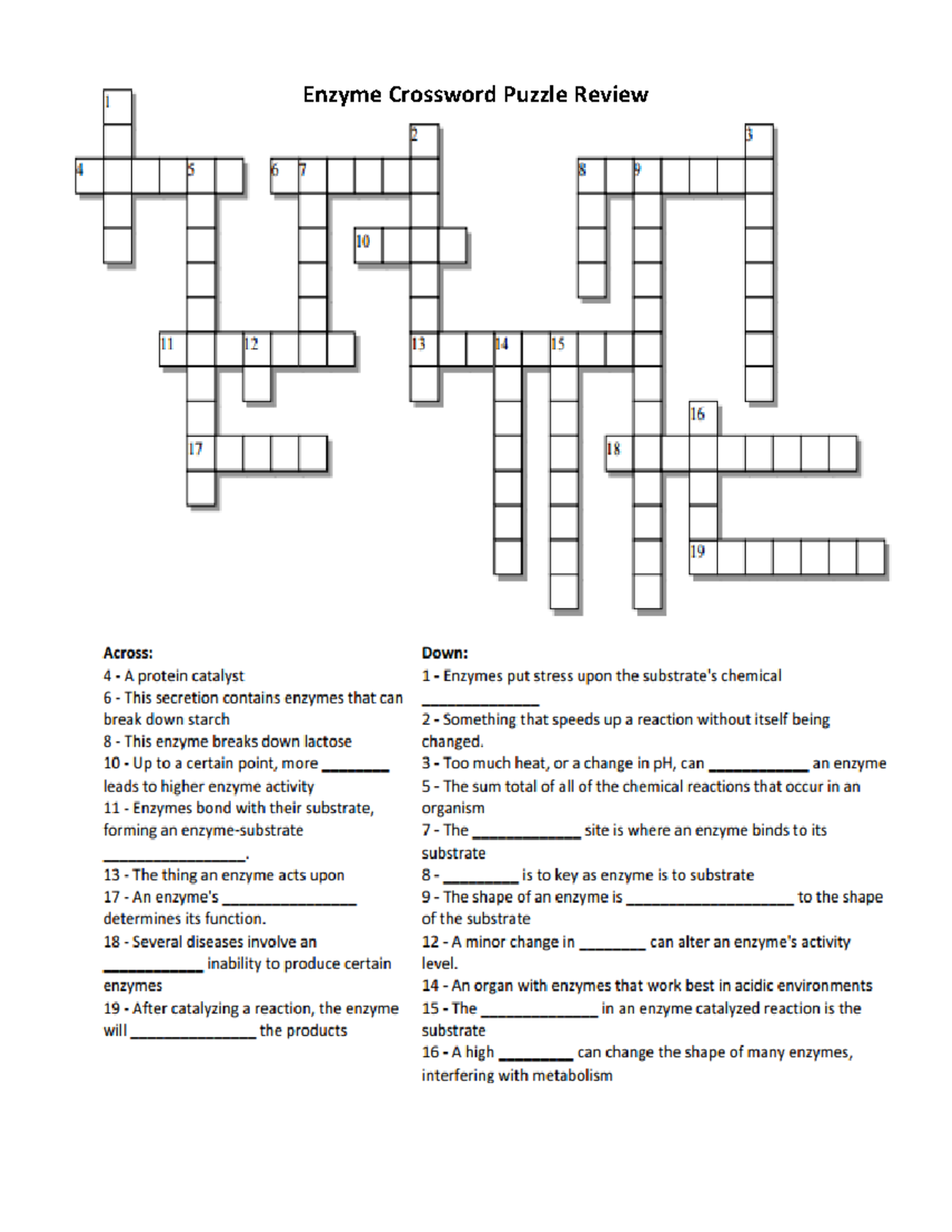 BI Enzyme Crossword Puzzle Review SV - Studocu