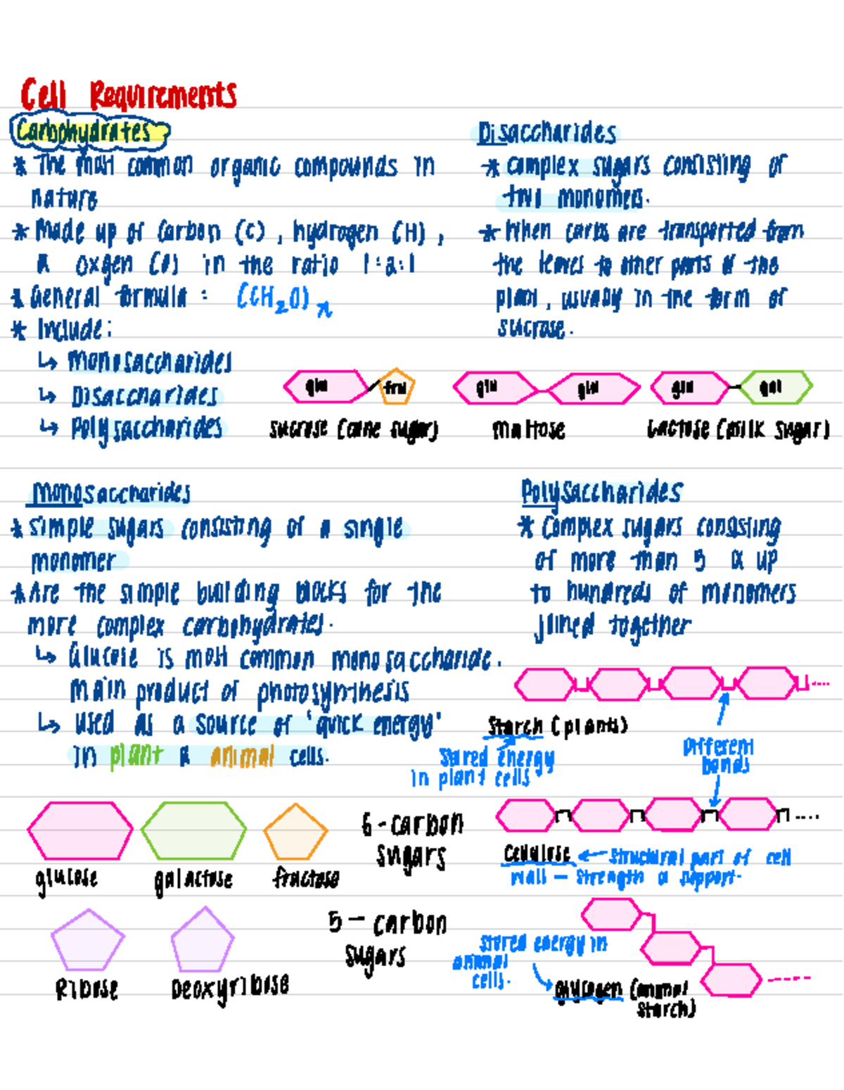 Yr11 biology cell requirements carbs notes - Cell Requirements - im ...
