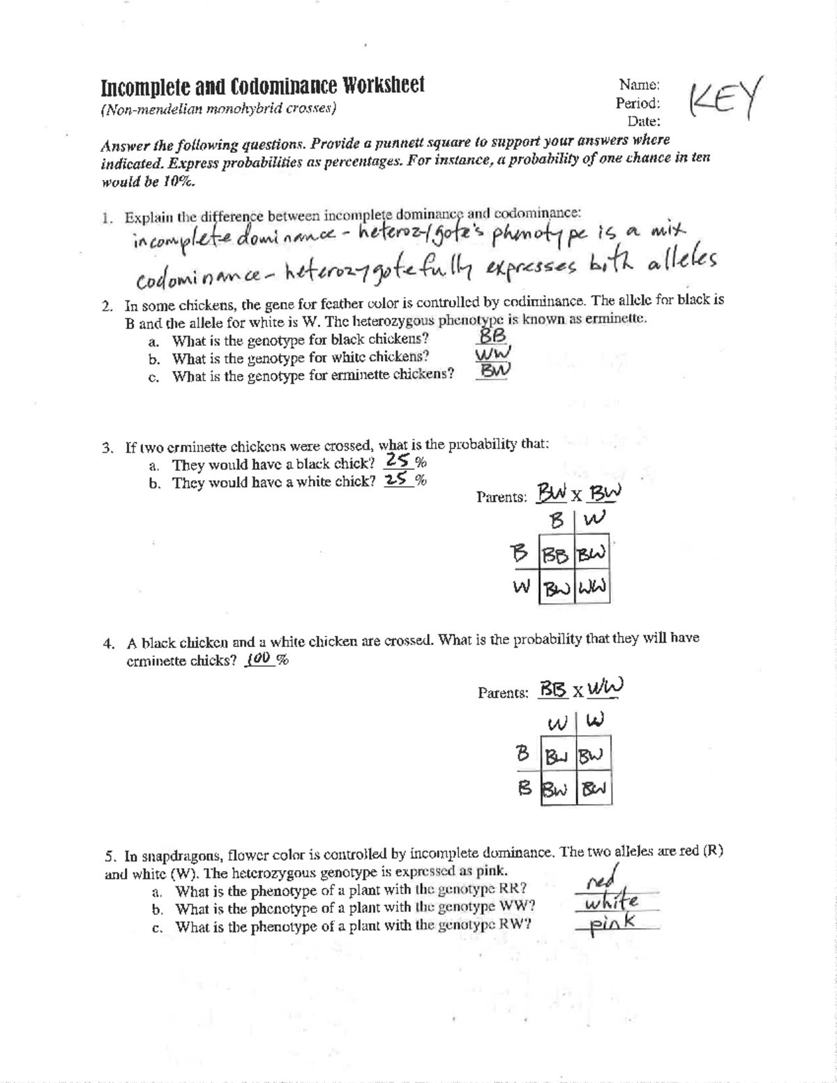 Incomplete and Codominance Worksheet Key (Monohybrid Crosses) - Studocu